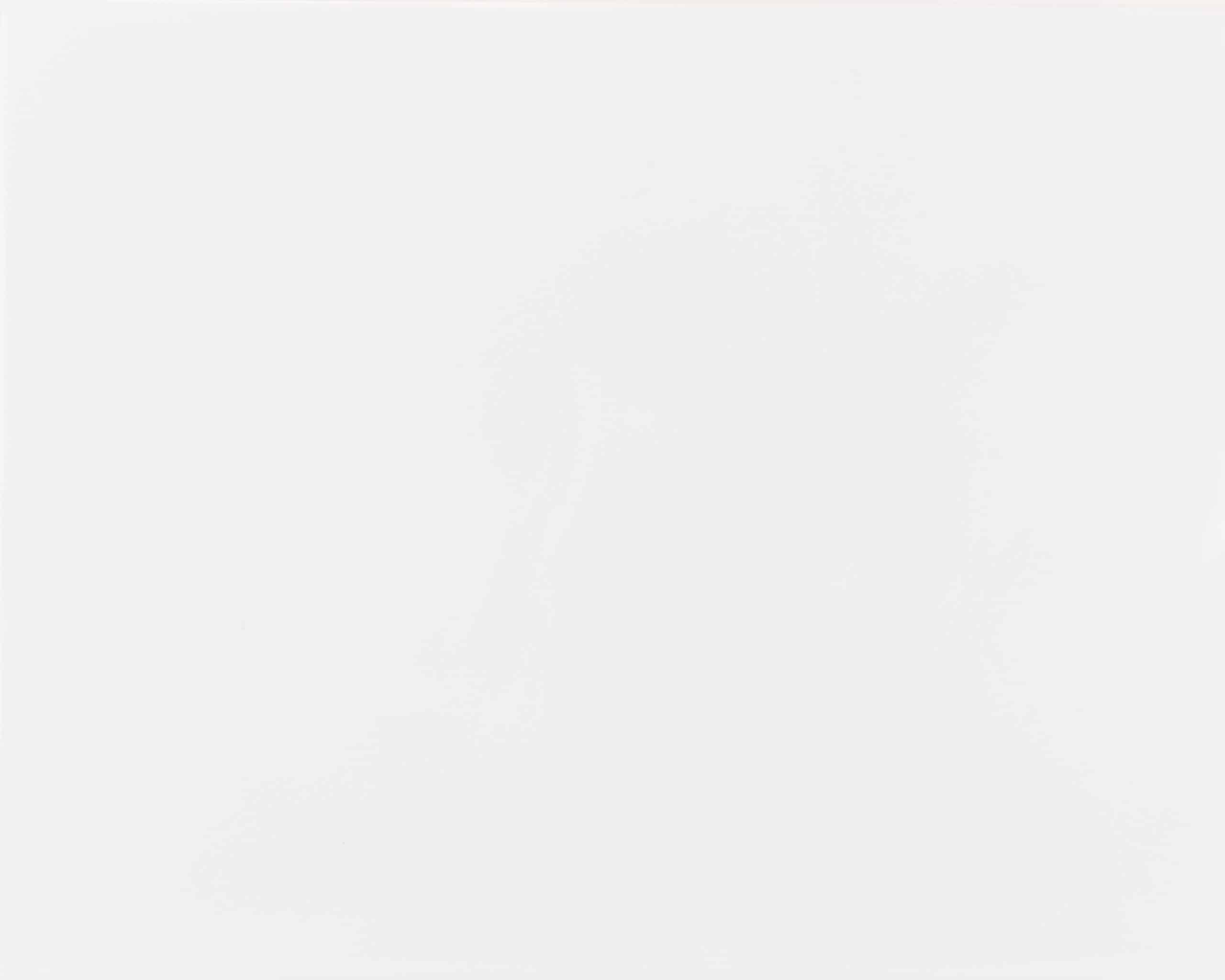 Ice White | Tile & Stone Gallery - Ceramic & Porcelain Tile Showrooms